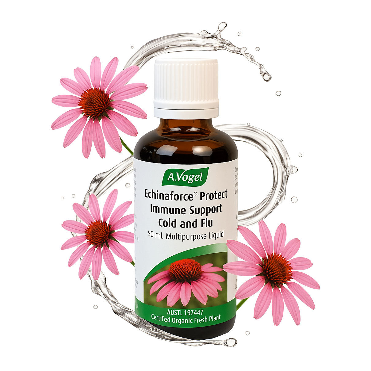 Echinaforce® Protect Immune Support Cold & Flu – Untamed Health