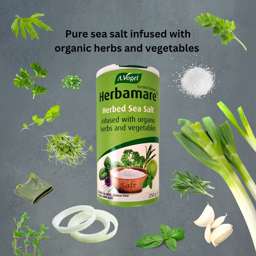 Herbamare Original Seasoning Herbal Salt – Untamed Health